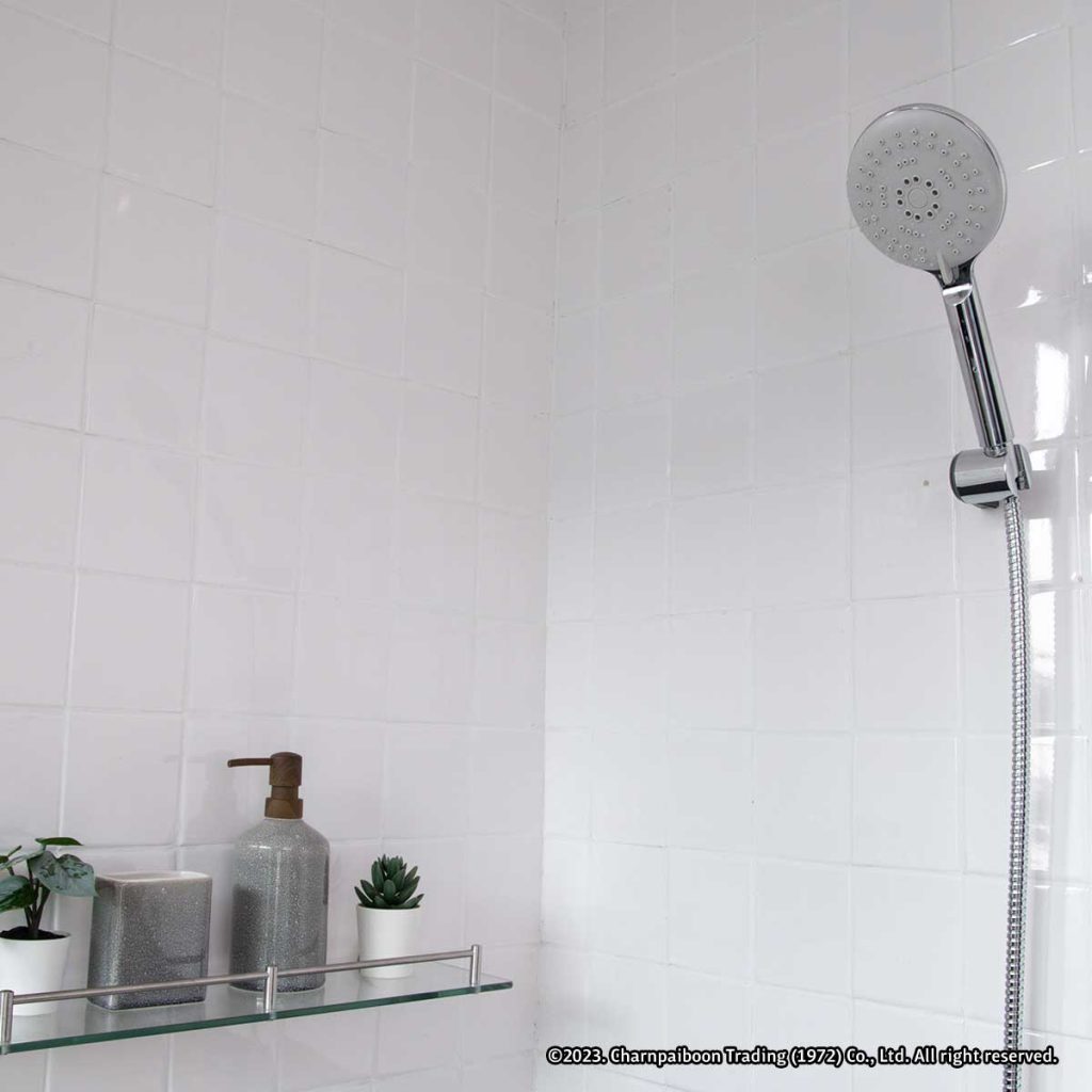 ชุดฝักบัวมือพร้อมสายโครเมียม และขอแขวน 5ระบบ - CharnPaiboon
