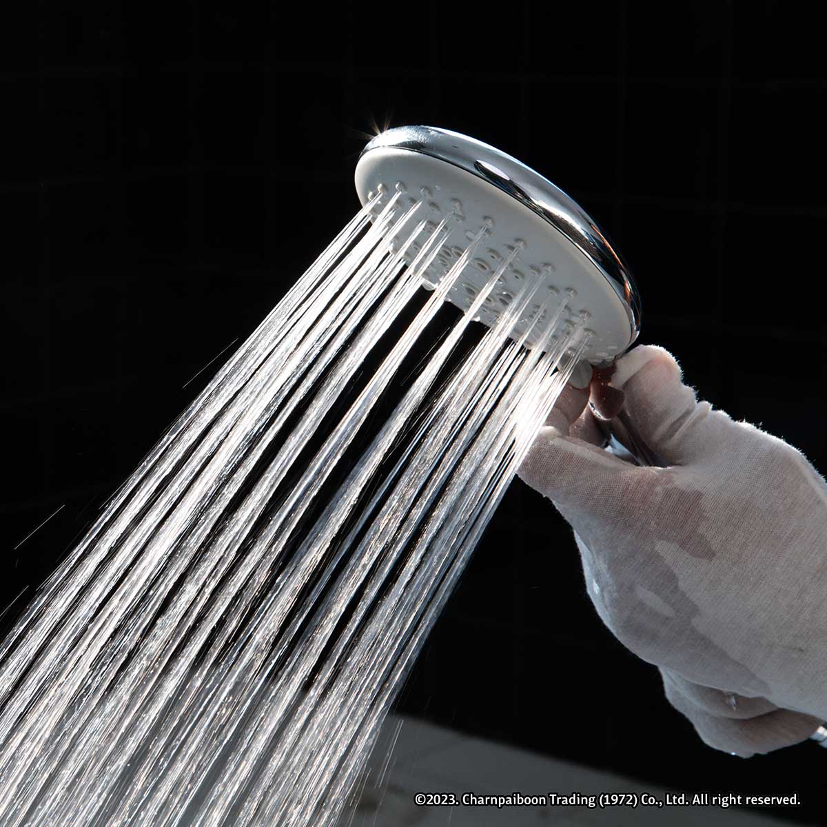 ชุดฝักบัวมือพร้อมสายโครเมียม และขอแขวน 5ระบบ - CharnPaiboon