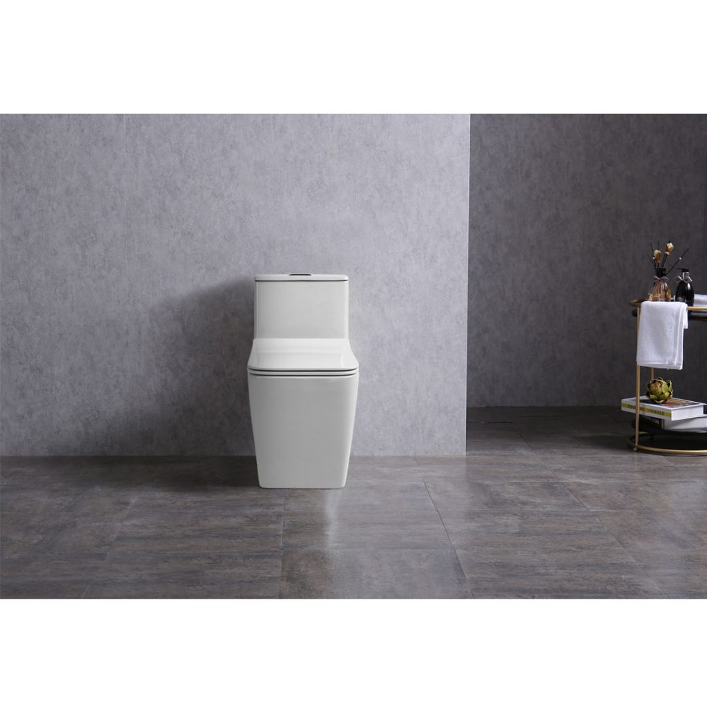 สุขภัณฑ์ ชิ้นเดียว - CharnPaiboon