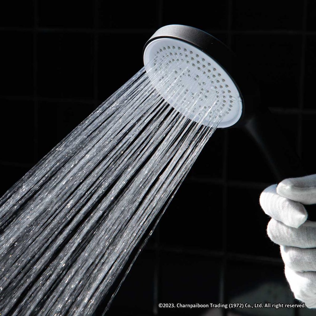 ฝักบัวมือพร้อมสายและขอแขวนครบชุด ดำ - CharnPaiboon