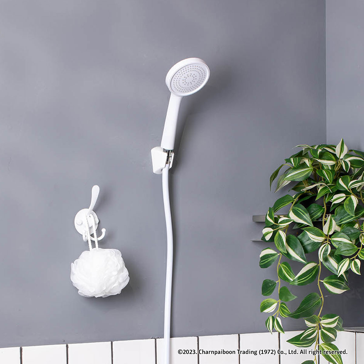 ฝักบัวมือพร้อมสายและขอแขวนครบชุด ขาว - CharnPaiboon
