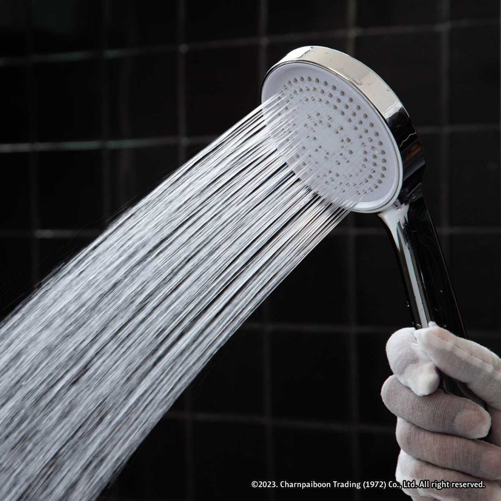 ฝักบัวมือพร้อมสายและขอแขวนครบชุด โครม - CharnPaiboon