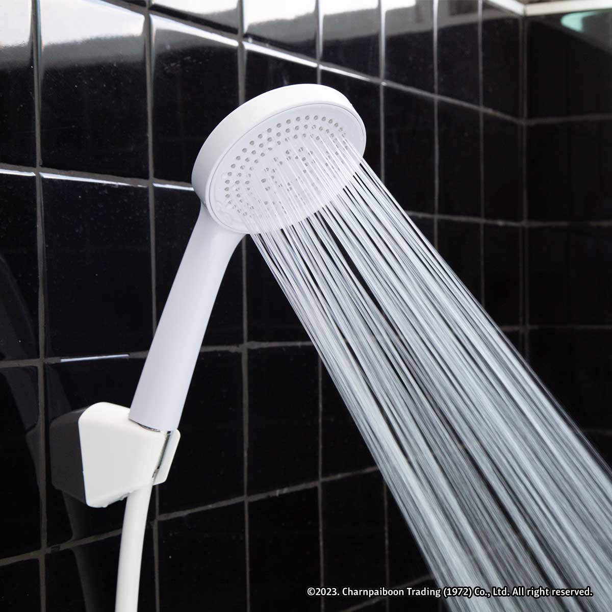 ฝักบัวมือพร้อมสายและขอแขวนครบชุด ขาว - CharnPaiboon