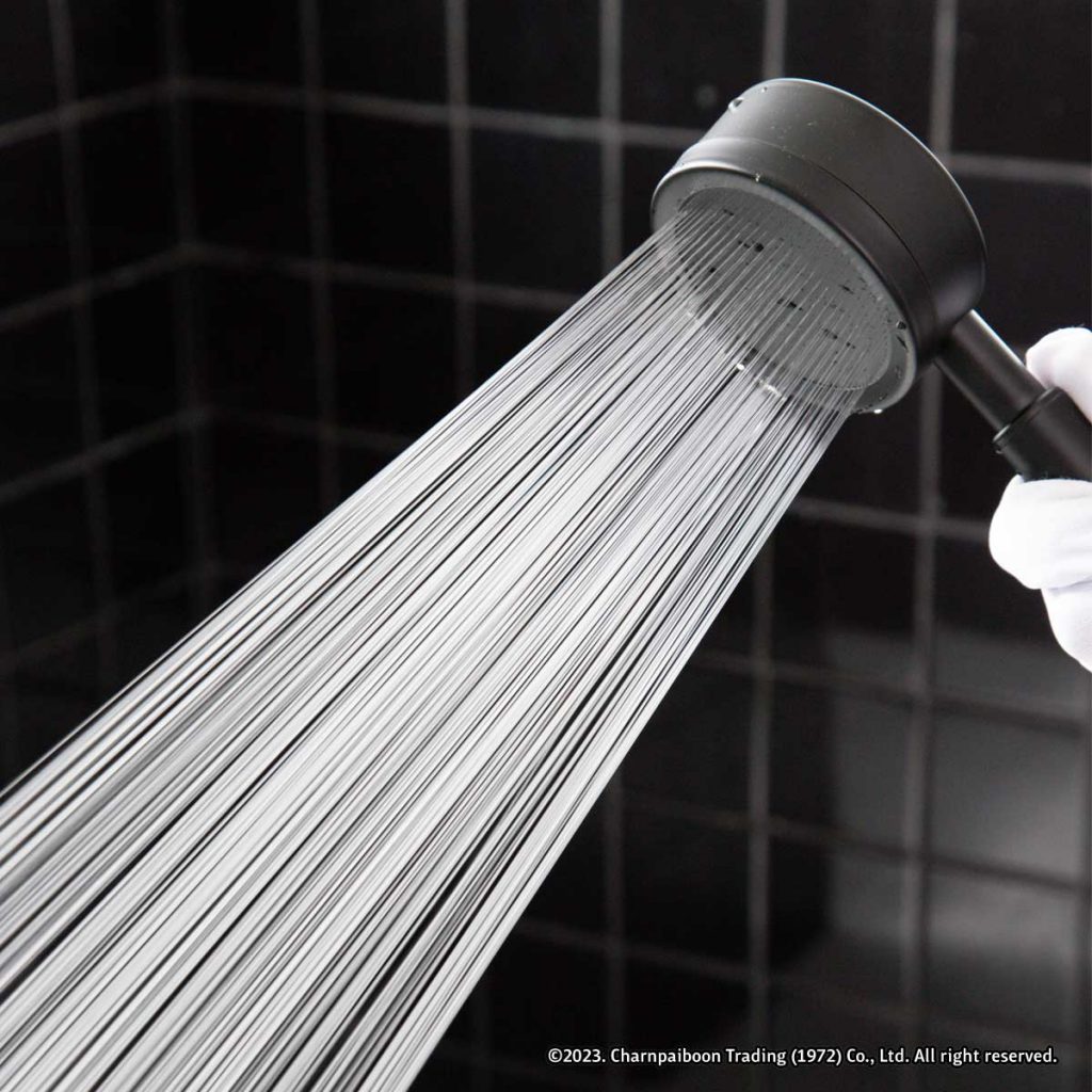 ฝักบัวมือสแตนเลสพร้อมสายและขอแขวน MATT BLACK - CharnPaiboon