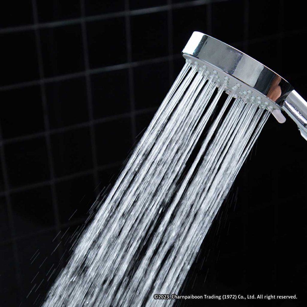 ฝักบัวมือโครเมียม พร้อมสายและขอแขวนครบชุด 5 ระบบ - CharnPaiboon