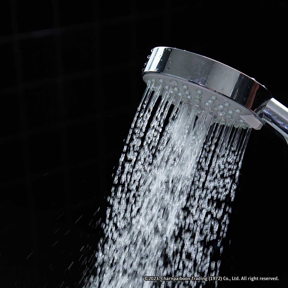 ฝักบัวมือโครเมียม พร้อมสายและขอแขวนครบชุด 5 ระบบ - CharnPaiboon