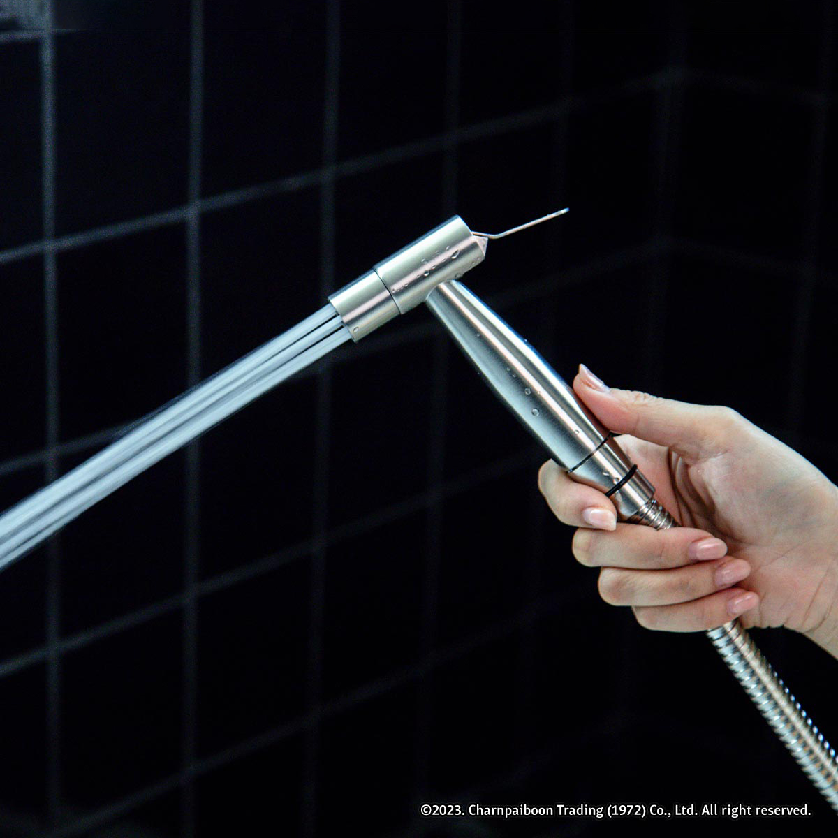 เฉพาะหัวฉีดชำระ สแตนเลส304 - CharnPaiboon