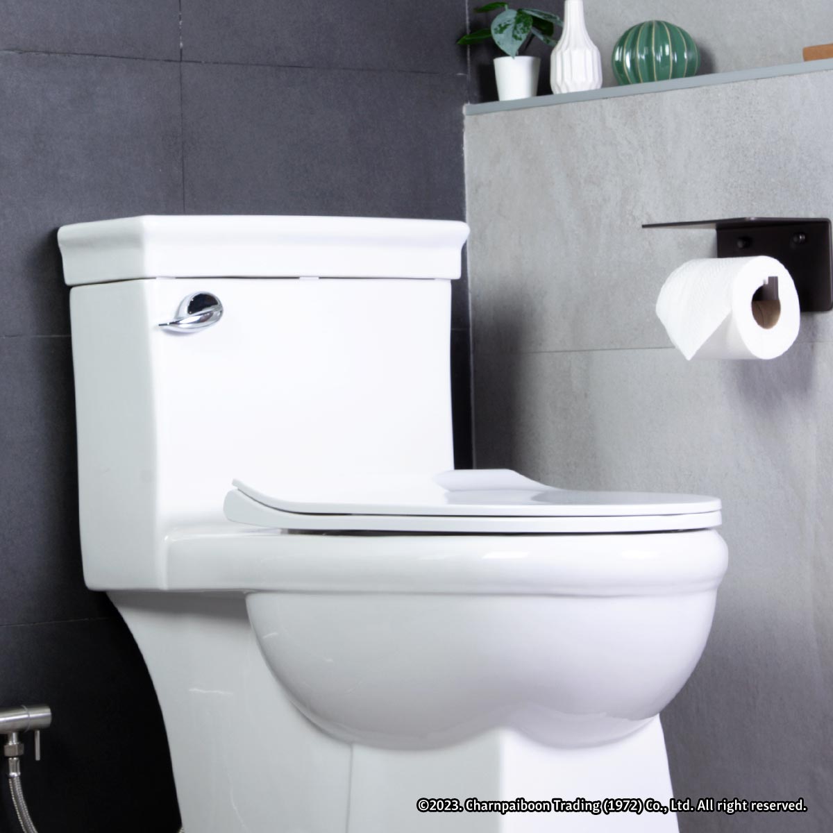 สุขภัณฑ์ชิ้นเดียว - CharnPaiboon