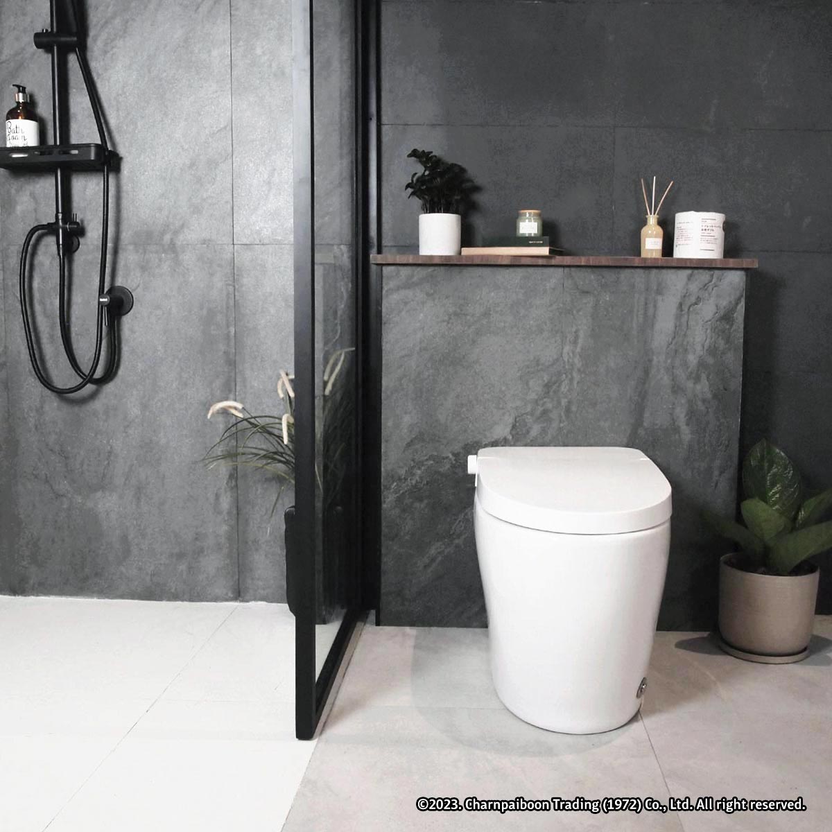 สุขภัณฑ์ชิ้นเดียว SENSEI - CharnPaiboon