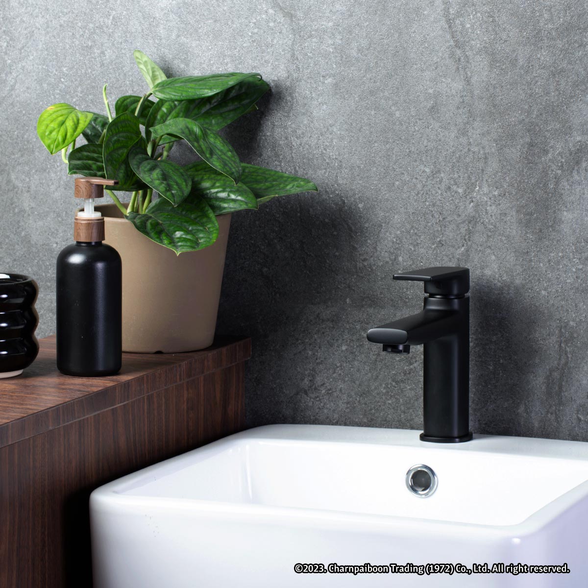 ก๊อกล้างหน้าผสมร้อนเย็น BLACK OVO - CharnPaiboon
