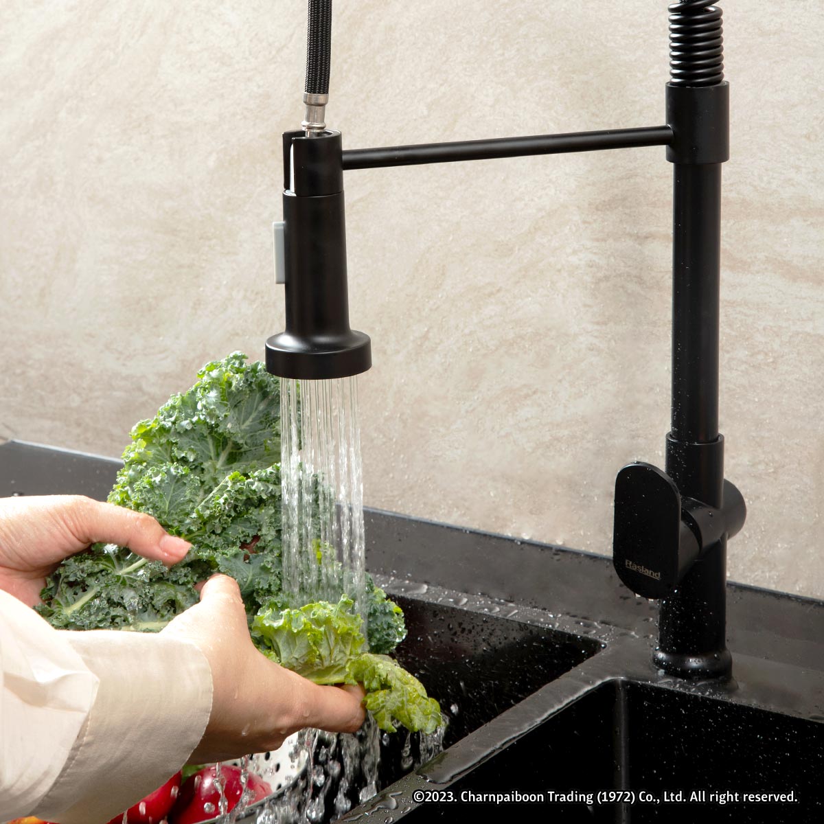 ก็อกซิงค์ล้างจานน้ำเย็น คอสปริง MATT BLACK - CharnPaiboon